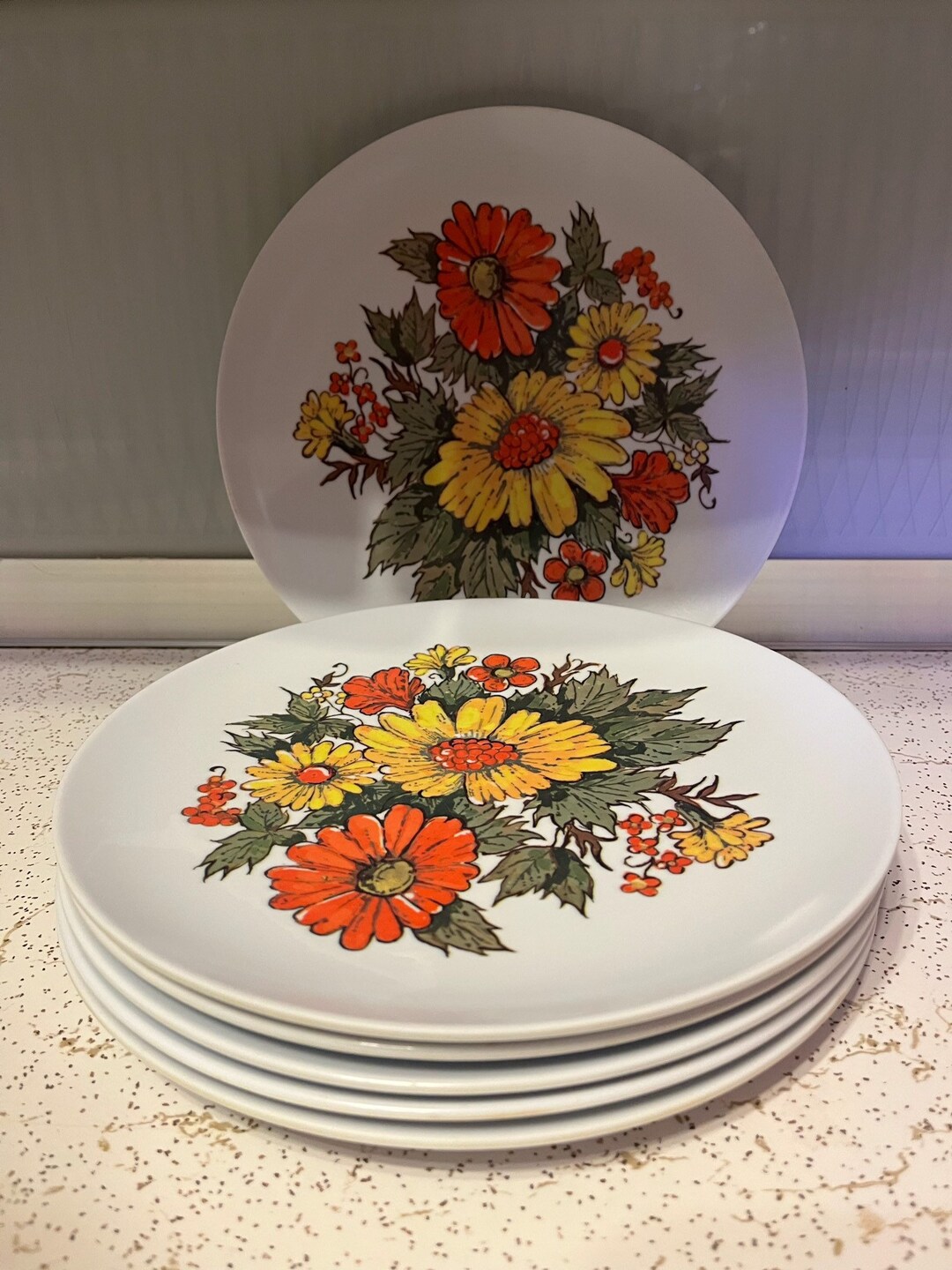 Vintage Seventies 6 Piece Texas Ware Melamine Dinner Plates - Etsy