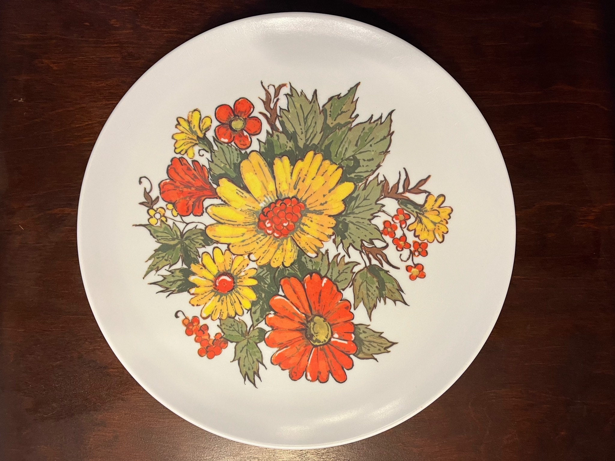Vintage Seventies 6 Piece Texas Ware Melamine Dinner Plates - Etsy