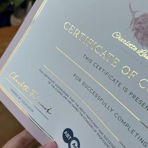Digital Certificate Design Pdf Only - Etsy