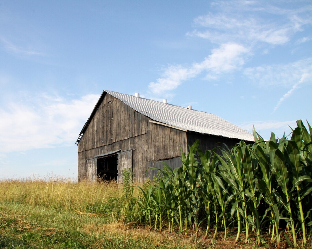 Rustic Black Barn Photograph, DIGITAL DOWLOAD, Old Kentucky Barn ...