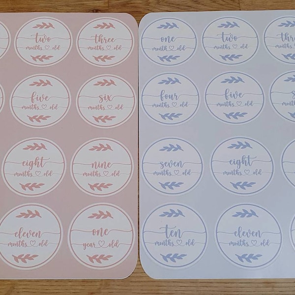Monthly Age Stickers - Etsy