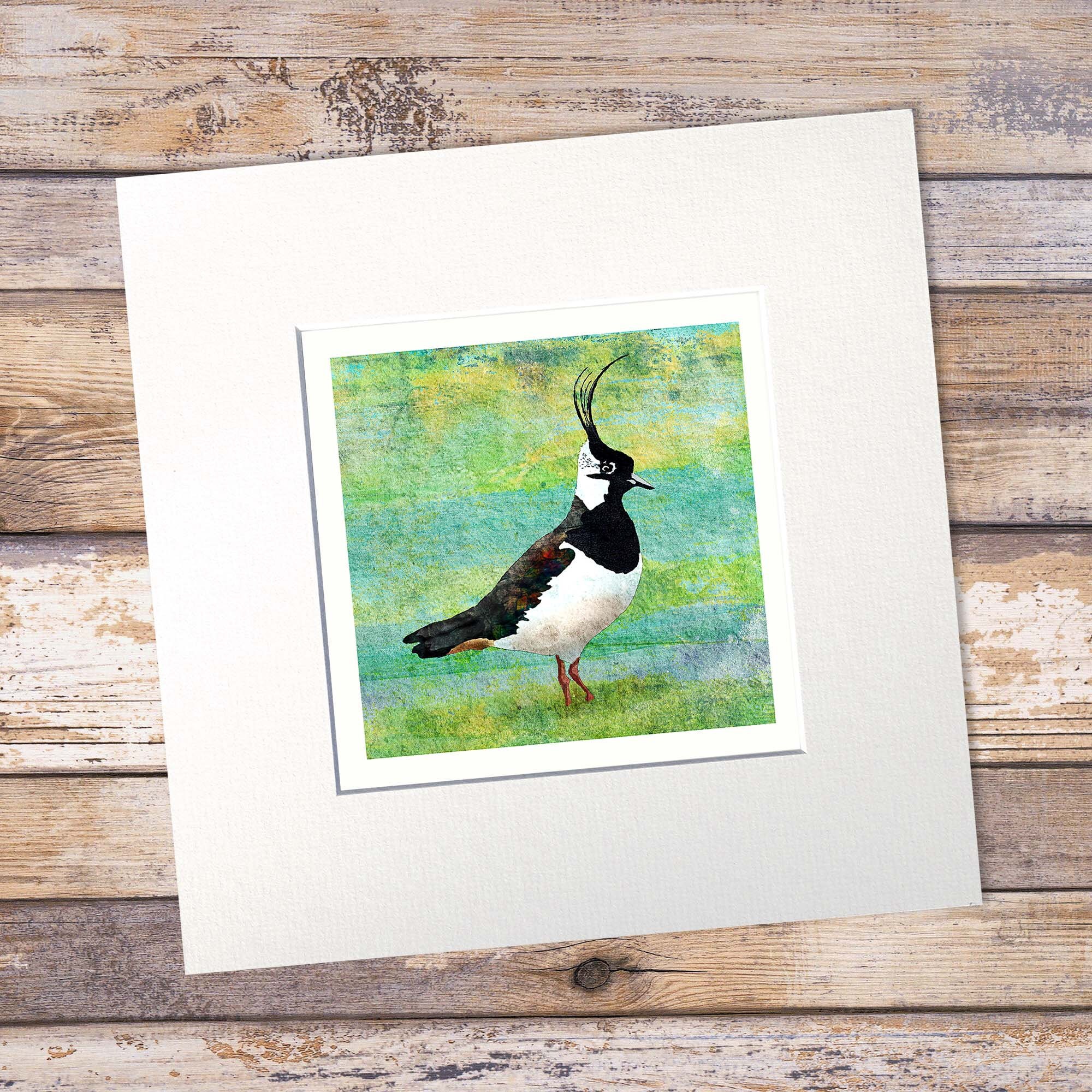 Lapwing ART PRINT, 6x6 Signed Giclée Print, Water Bird Illustration ...