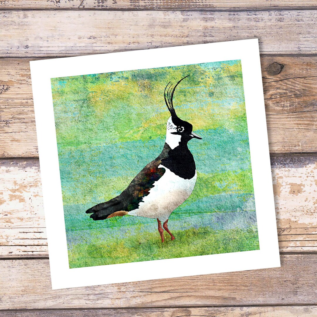 Lapwing ART PRINT, 6x6 Signed Giclée Print, Water Bird Illustration ...