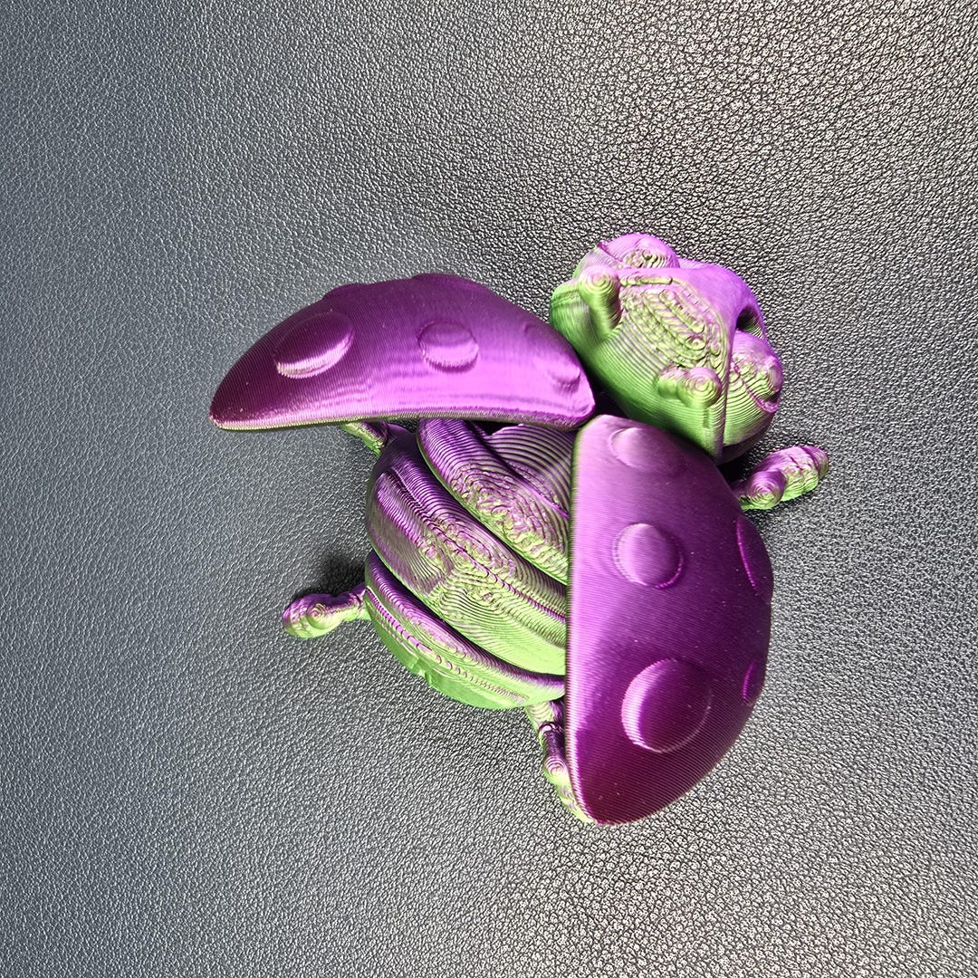 Flexi Ladybug Fidget Toy: 3D Printed Articulated Desk Pet - Etsy