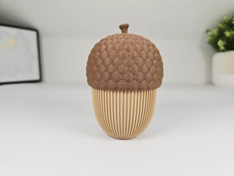 Acorn Trinket Box With Lid: 3D Printed Woodland Decor - Etsy