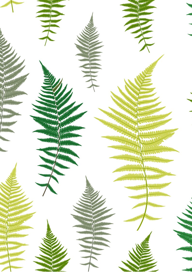 6 Green Fern Printable, Printable Ferns, Fern Illustration, Fern ...
