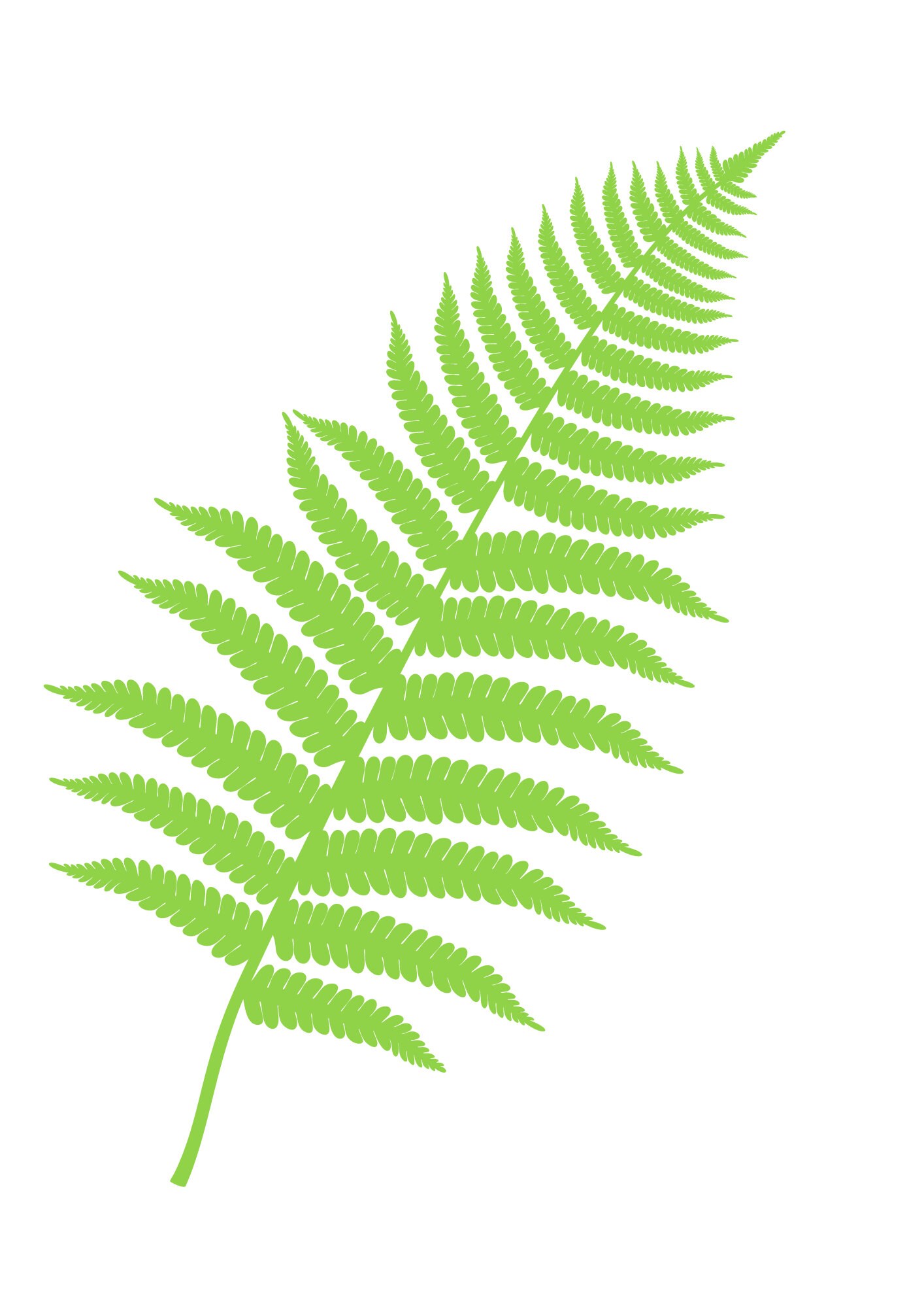 6 Green Fern Printable, Printable Ferns, Fern Illustration, Fern ...