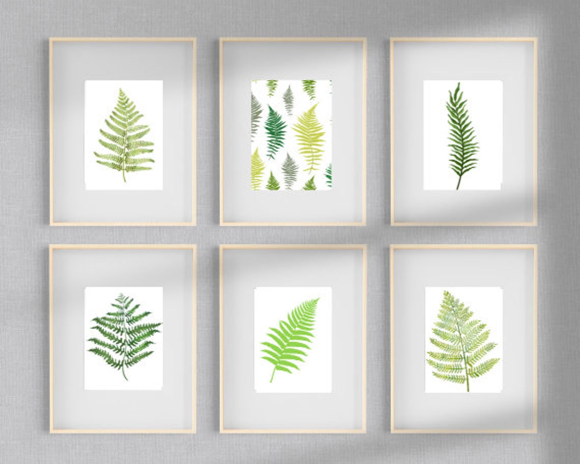 6 Green Fern Printable Printable Ferns Fern Illustration - Etsy