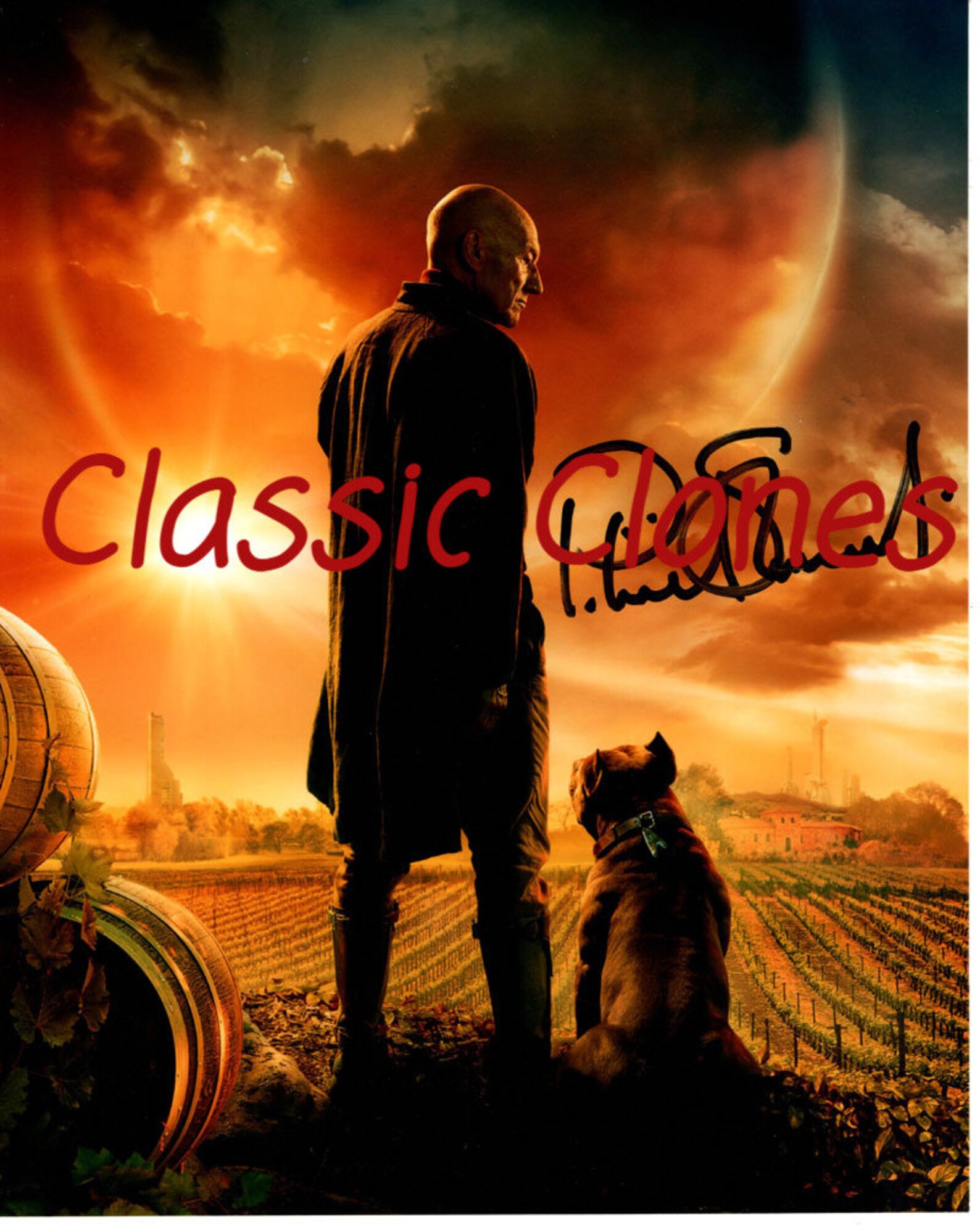 Patrick Stewart Signed Autographed Premium Quality Reprint 8x10 Star ...