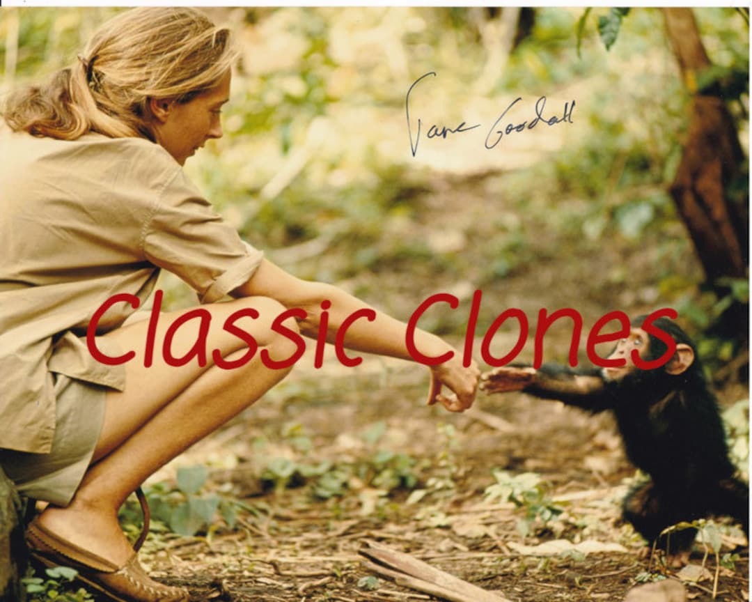 Jane Goodall Signed Autographed Premium Quality Reprint 8x10 Photo - Etsy