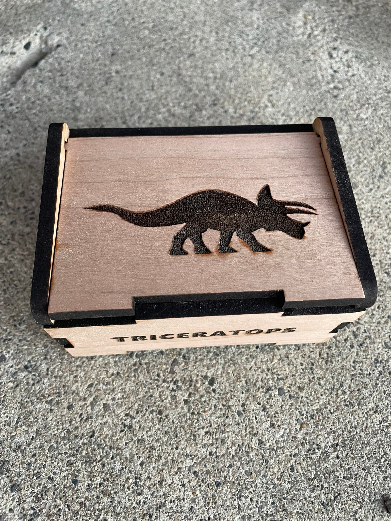 Dino Box Puzzles - Etsy