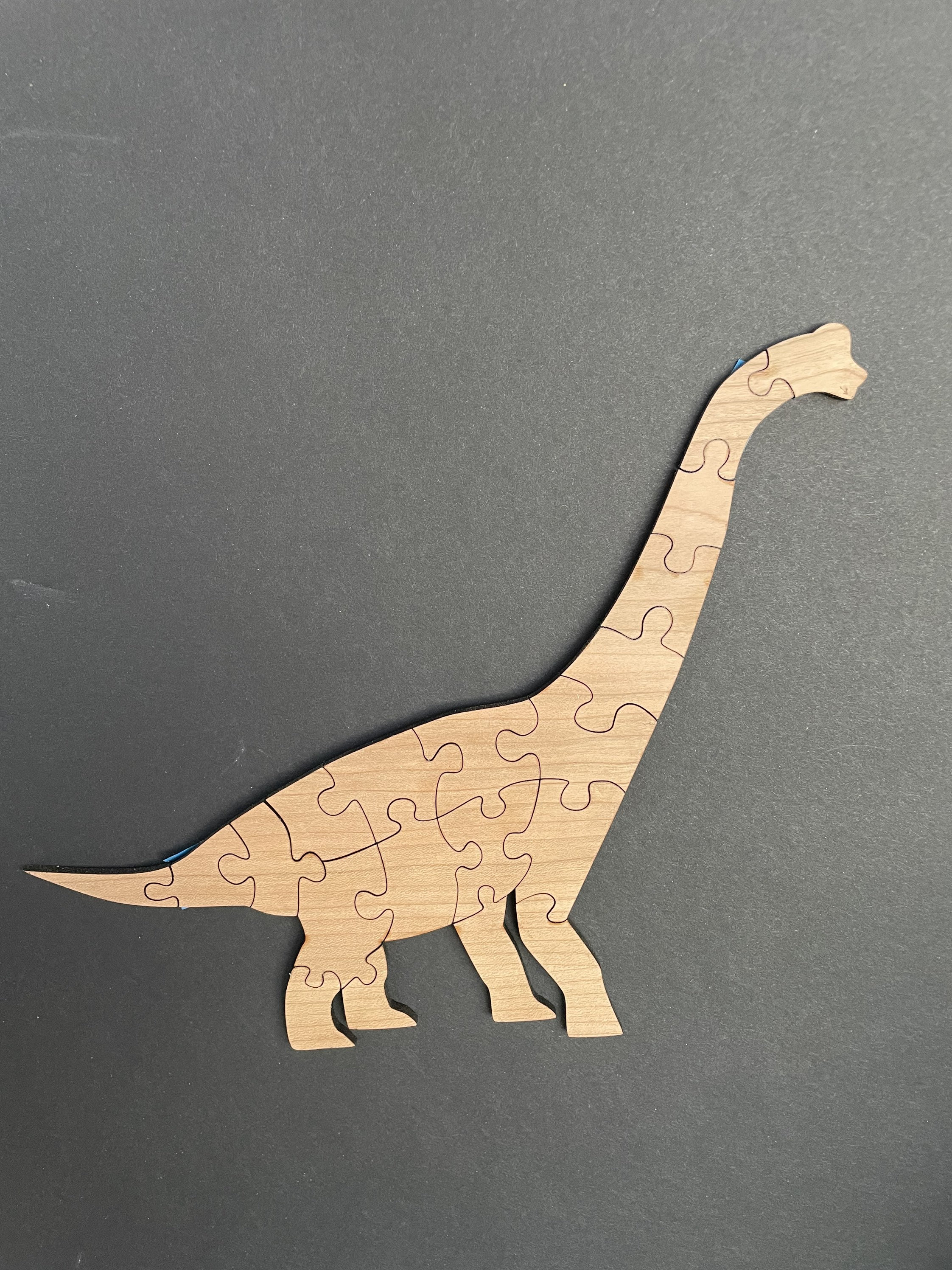 Dino Box Puzzles - Etsy