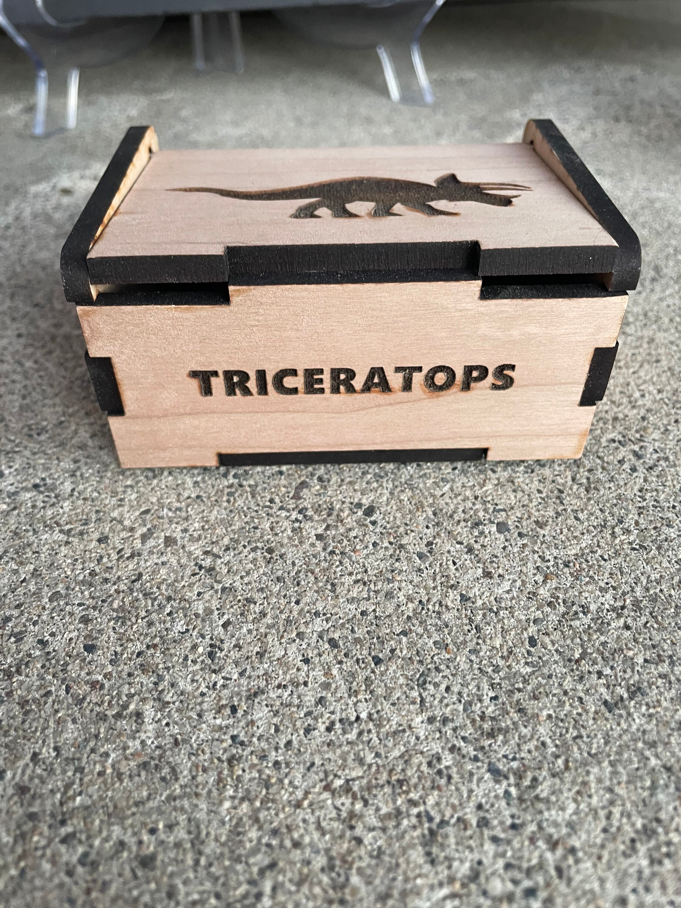 Dino Box Puzzles - Etsy