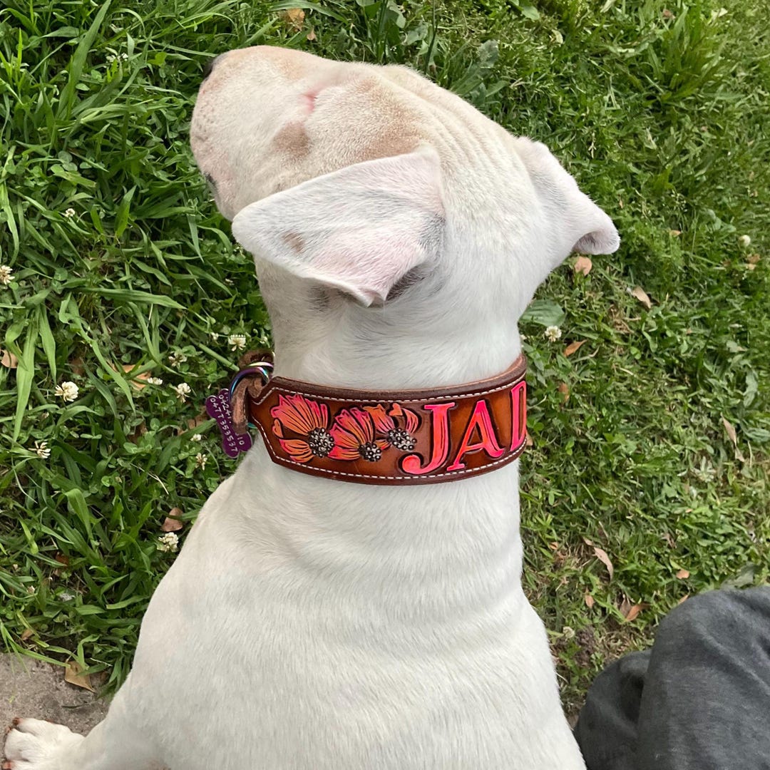 Custom Tooled Leather Dog Collar – Handcrafted With Personalized ...