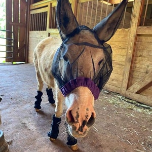 Mini Donkey Fly Mask - Etsy