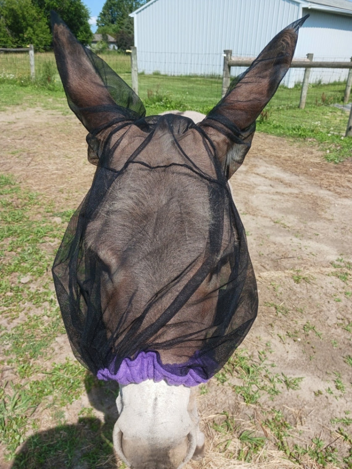 Mini Donkey Fly Mask - Etsy