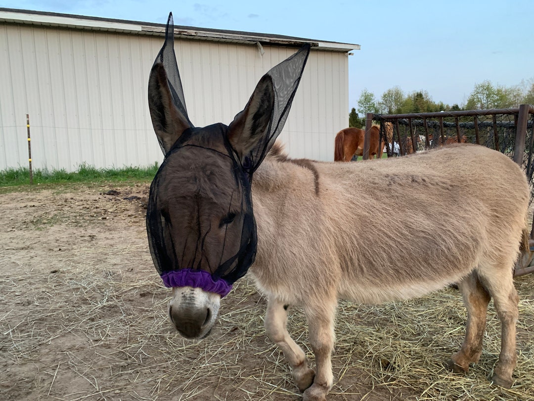 Mini Donkey Fly Mask - Etsy