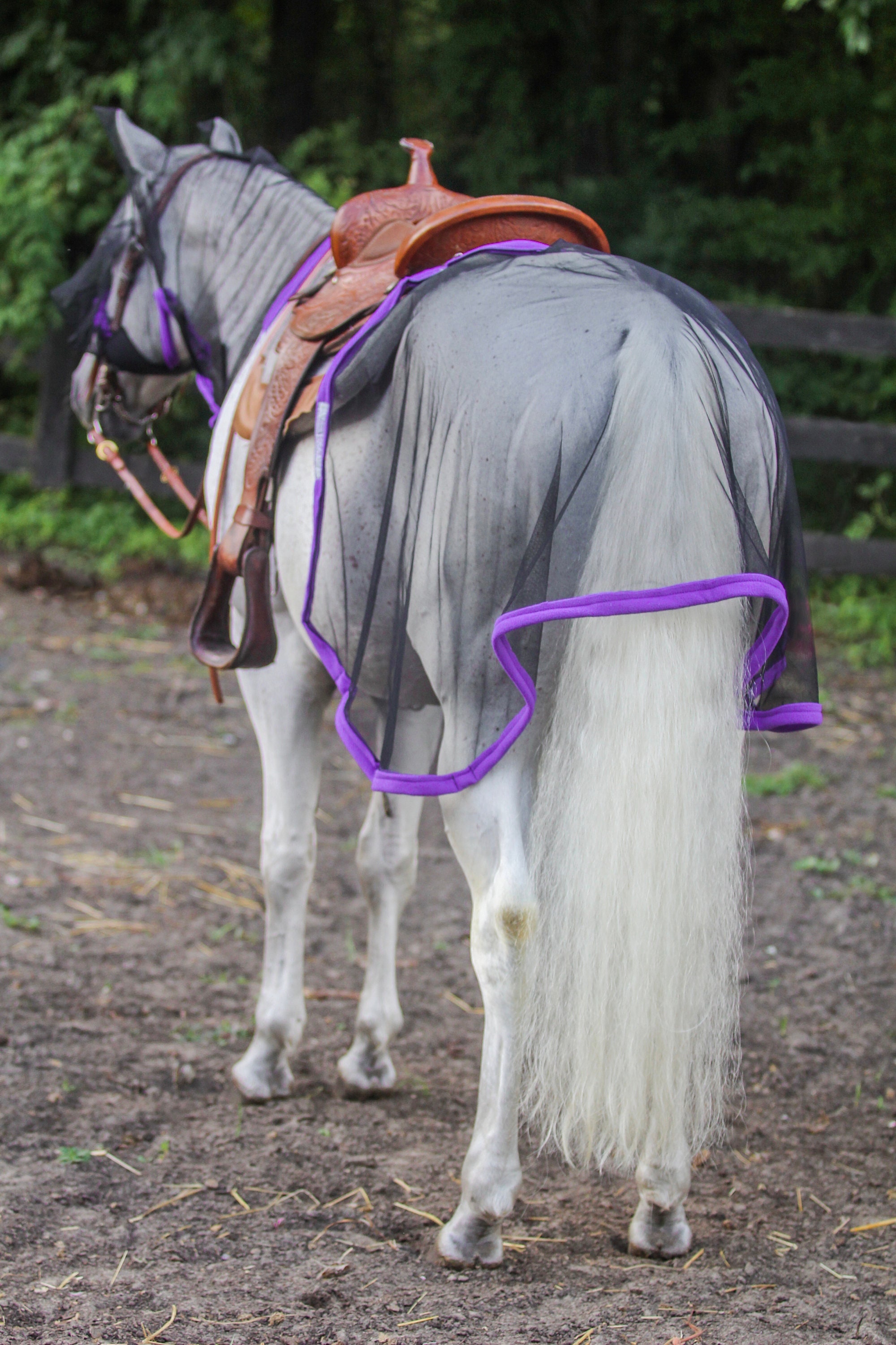 Glute Guard Fly Protection - Etsy