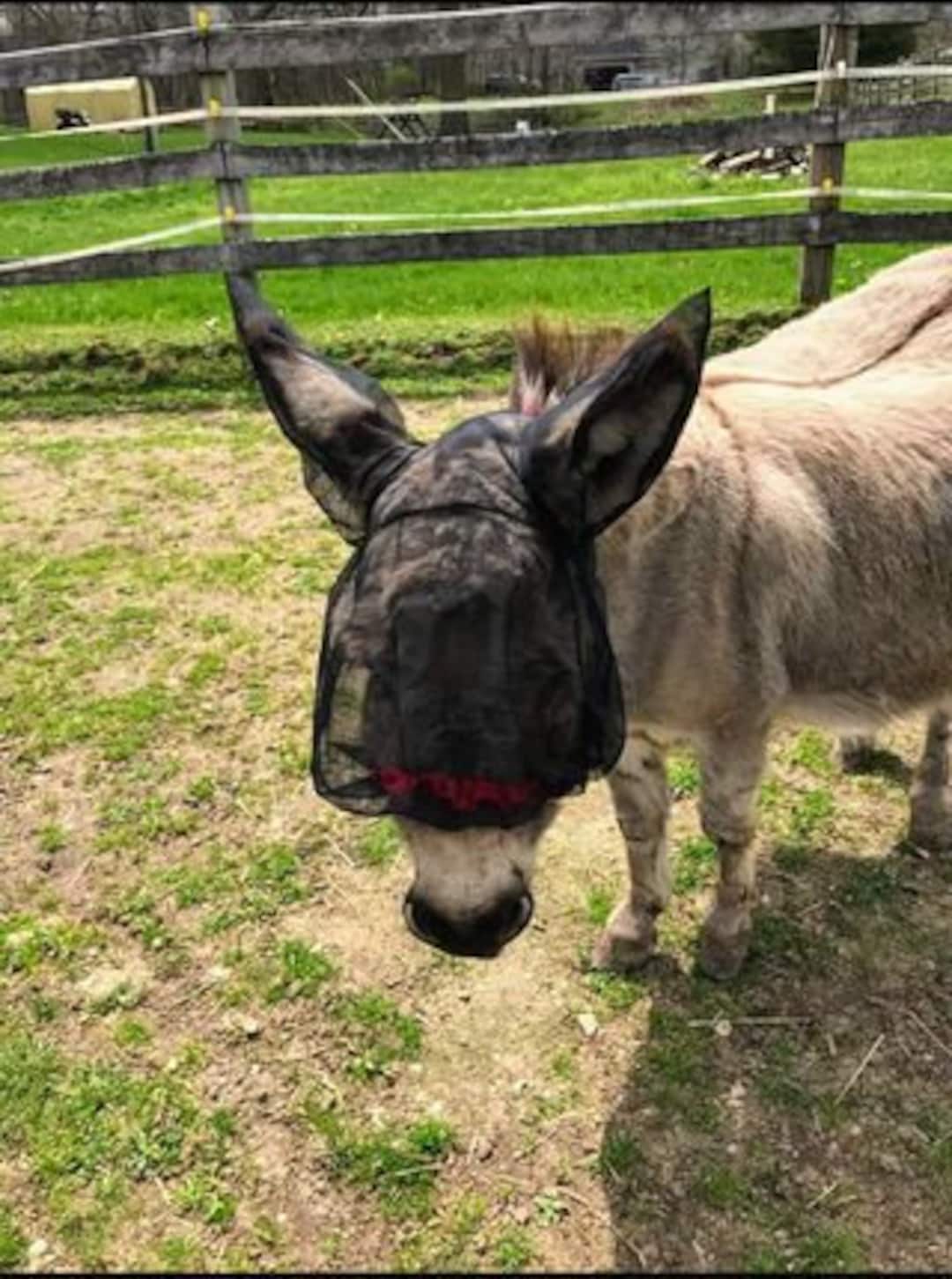 Mini Donkey Fly Mask - Etsy