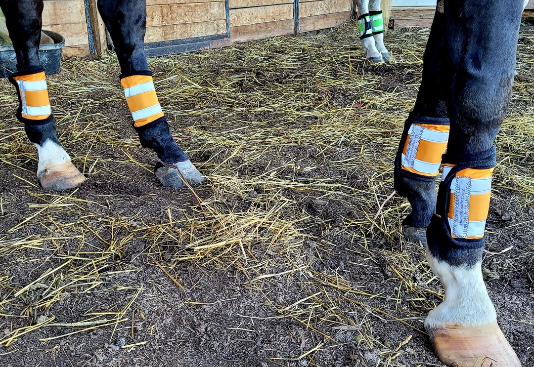 SAFETY SEE'UMS/ Safety Gear Caution Riding Horseback Riding Hunter ...