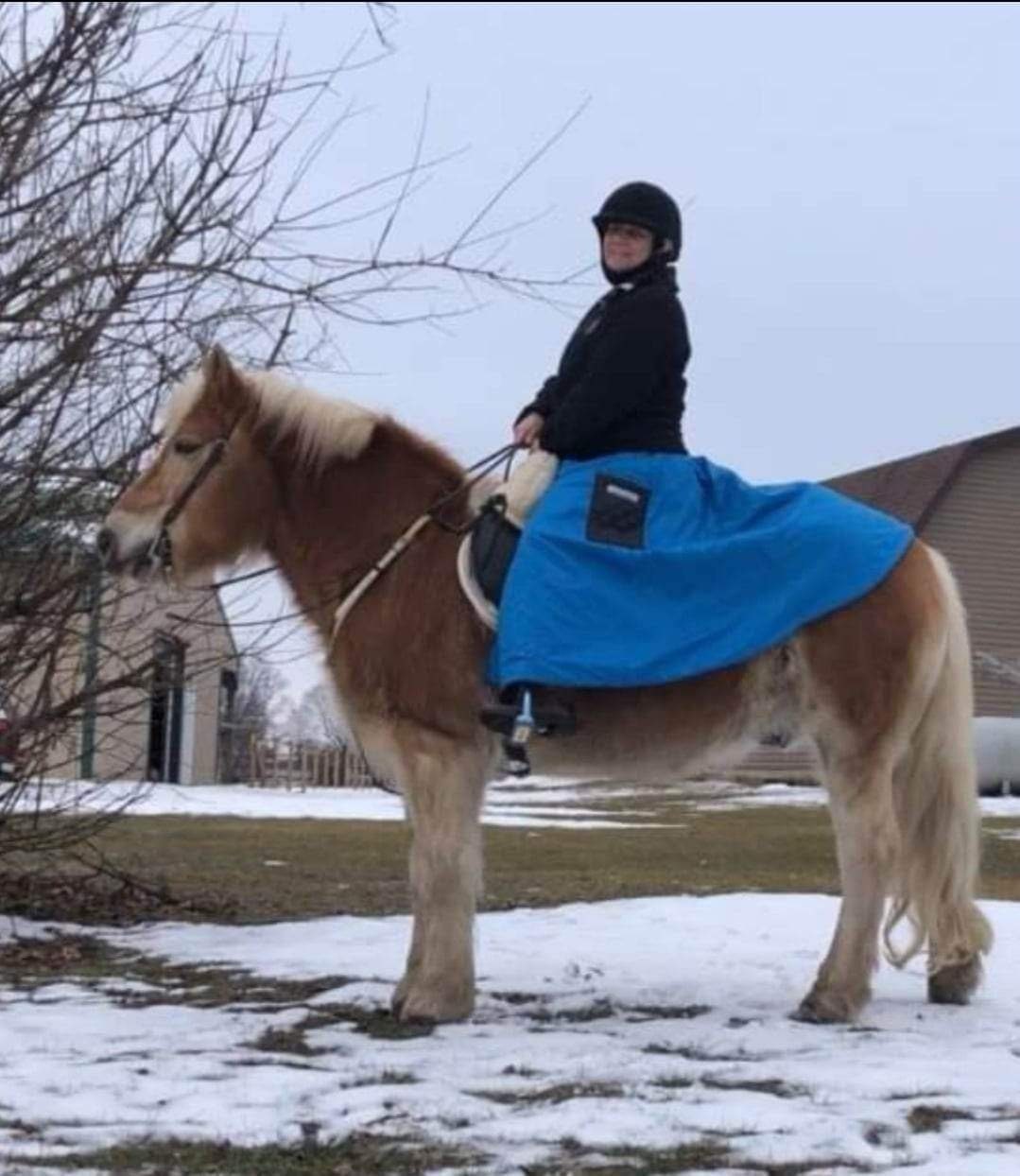 WATERPROOF Horse Riding Equestrian Skirt Waterproof Winter Riding Skirt ...