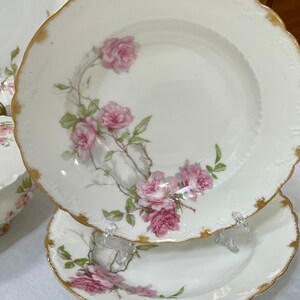 Antique Haviland and Co. Hand Painted Limoges, France Schleiger #59 ...