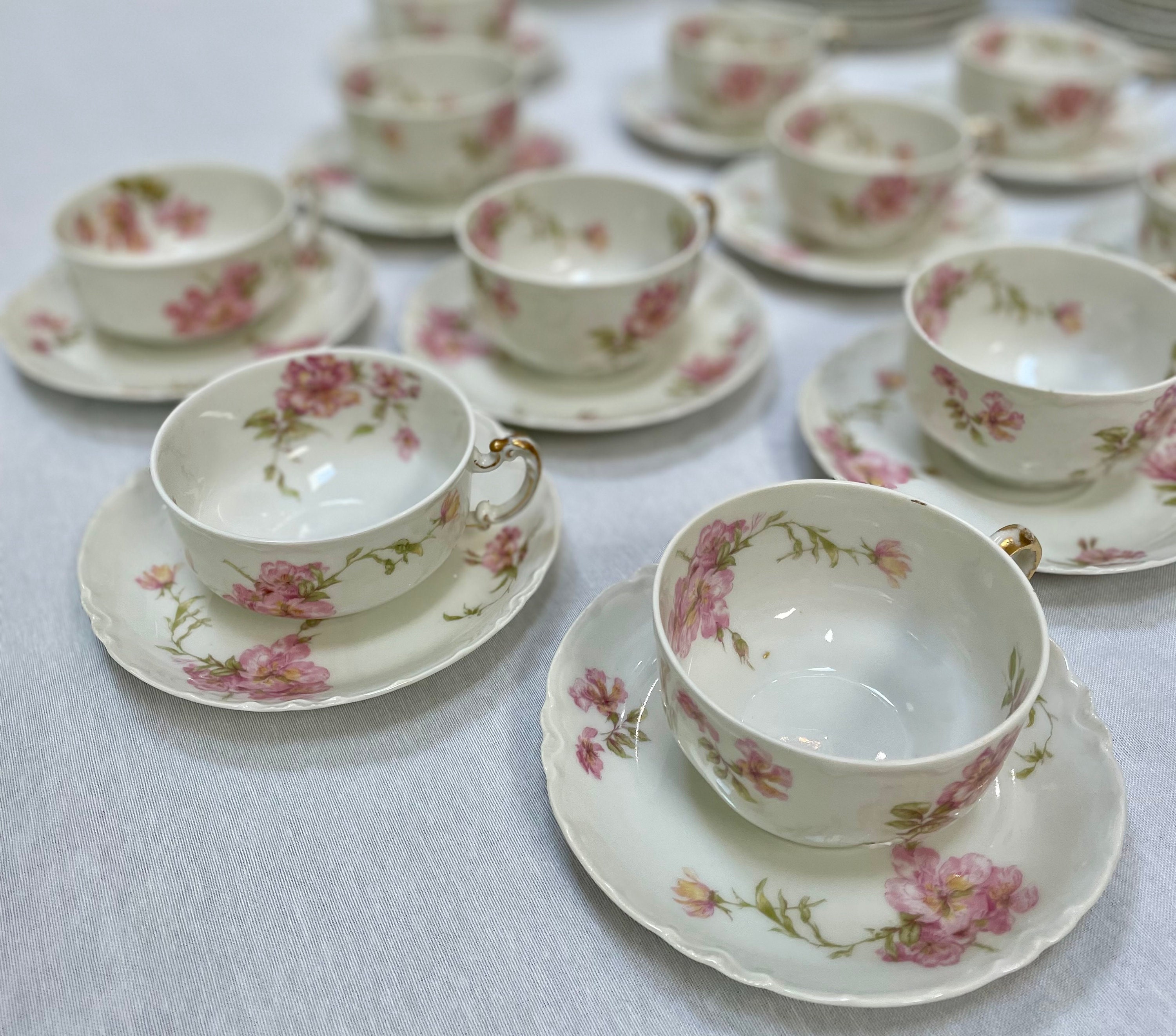 Antique Haviland and Co. Hand Painted Limoges, France Schleiger 59 ...