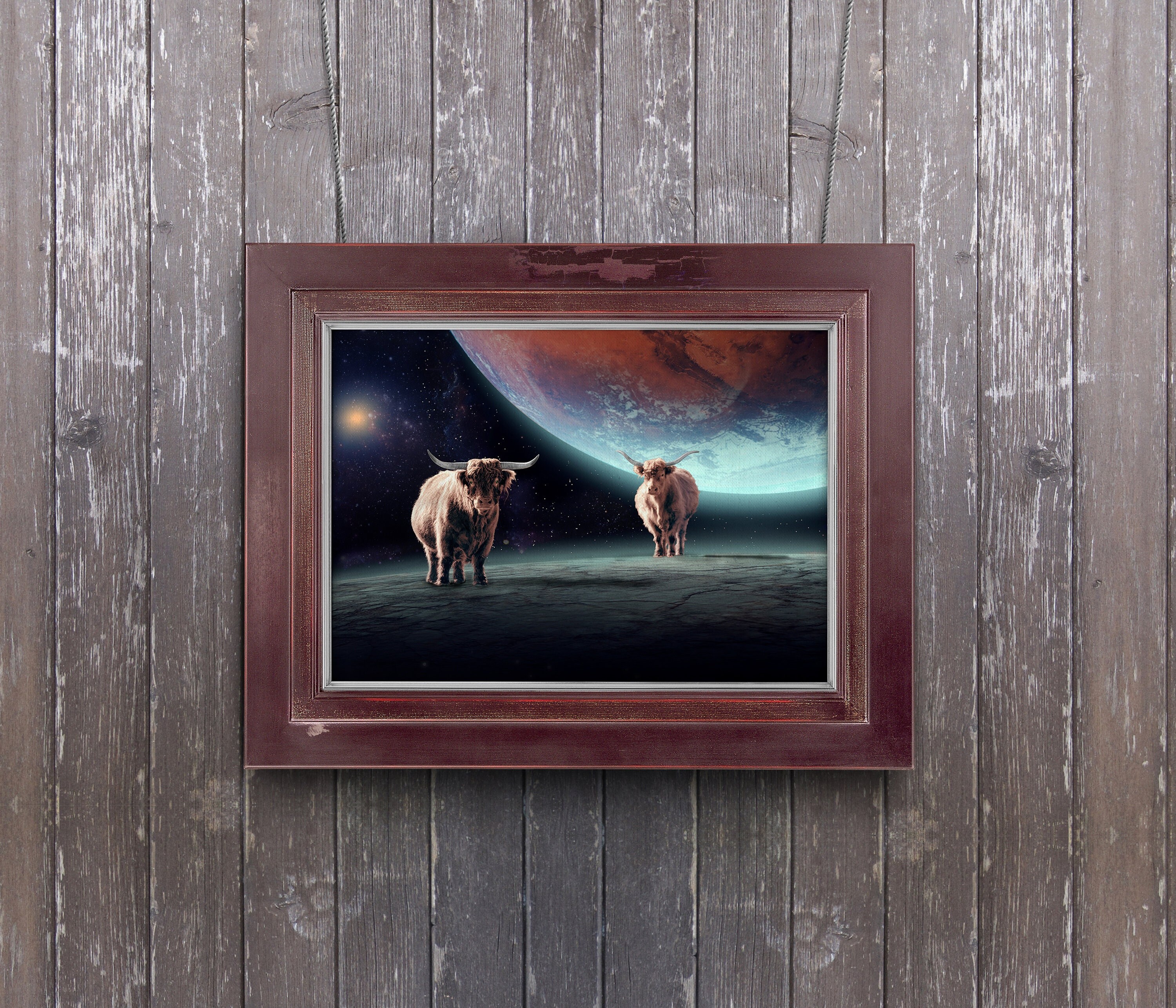 Scottish Highland Cow Space Print - Etsy