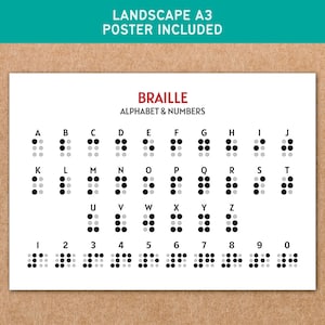 Braille Flash Cards V2 - Large - Alphabet & Numbers - Printable ...