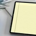 Lined Paper Bundle Ruled Notebook Journal Printable Digital iPad Tablet ...