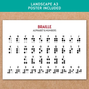 Braille Flash Cards - Alphabet & Numbers - Printable - Poster ...