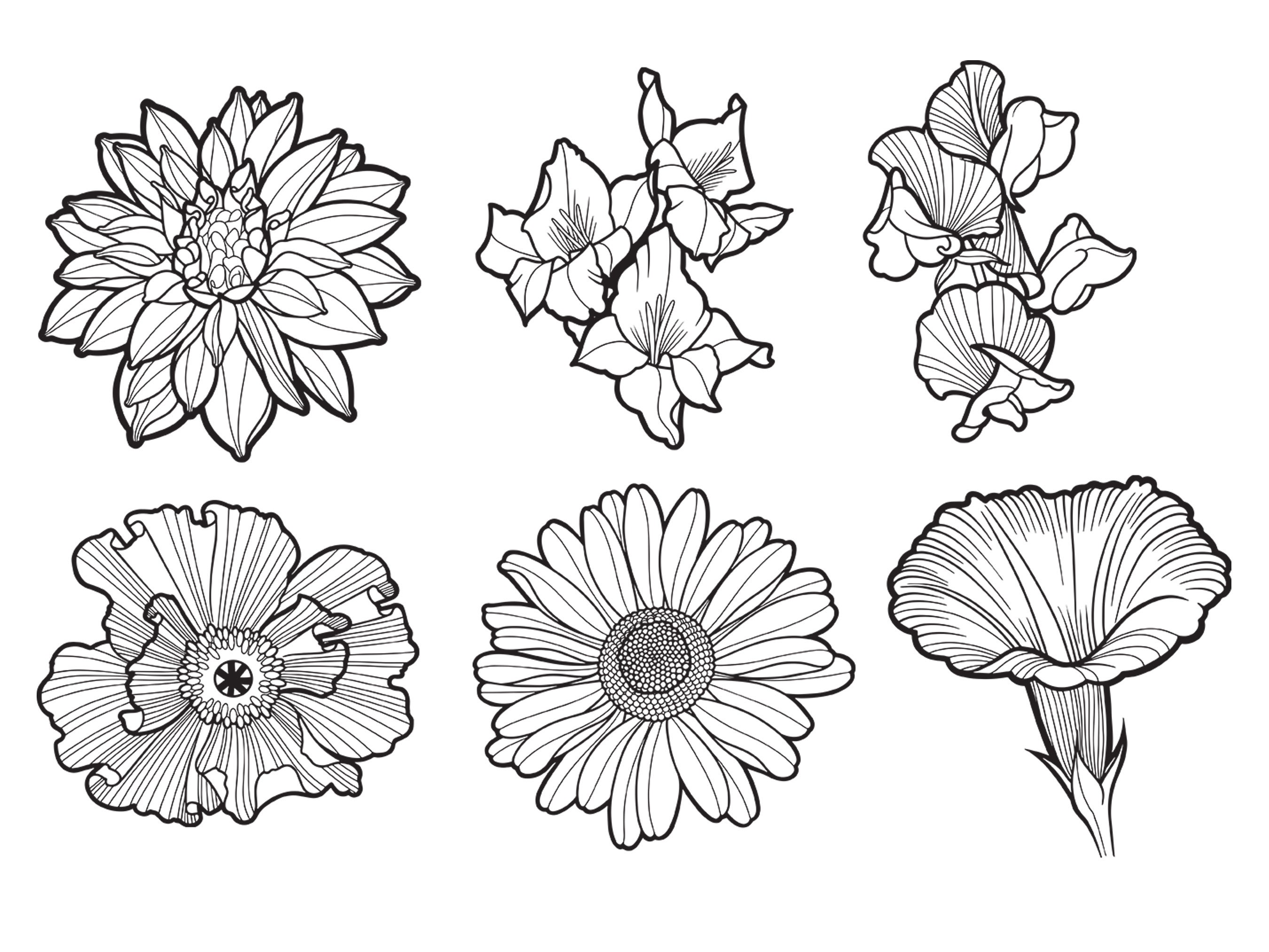 SVG Floral Designs, SVG Roses and Birth Month Flowers, PNG Roses and ...