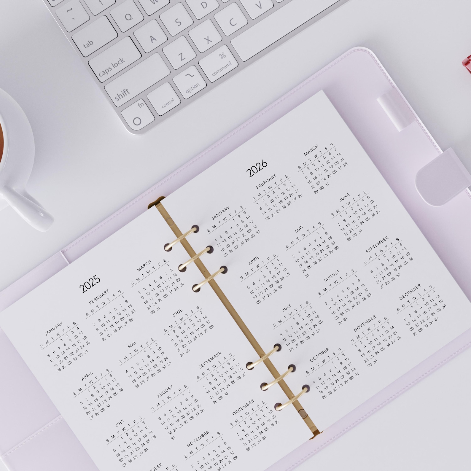 2025-2026 Yearly Calendar Printable: One Page Planner Insert (A4, A5 ...