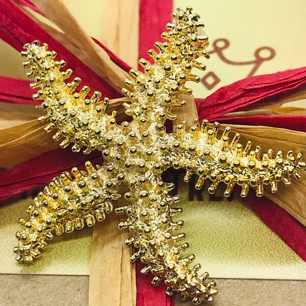 Starfish Pins - Etsy