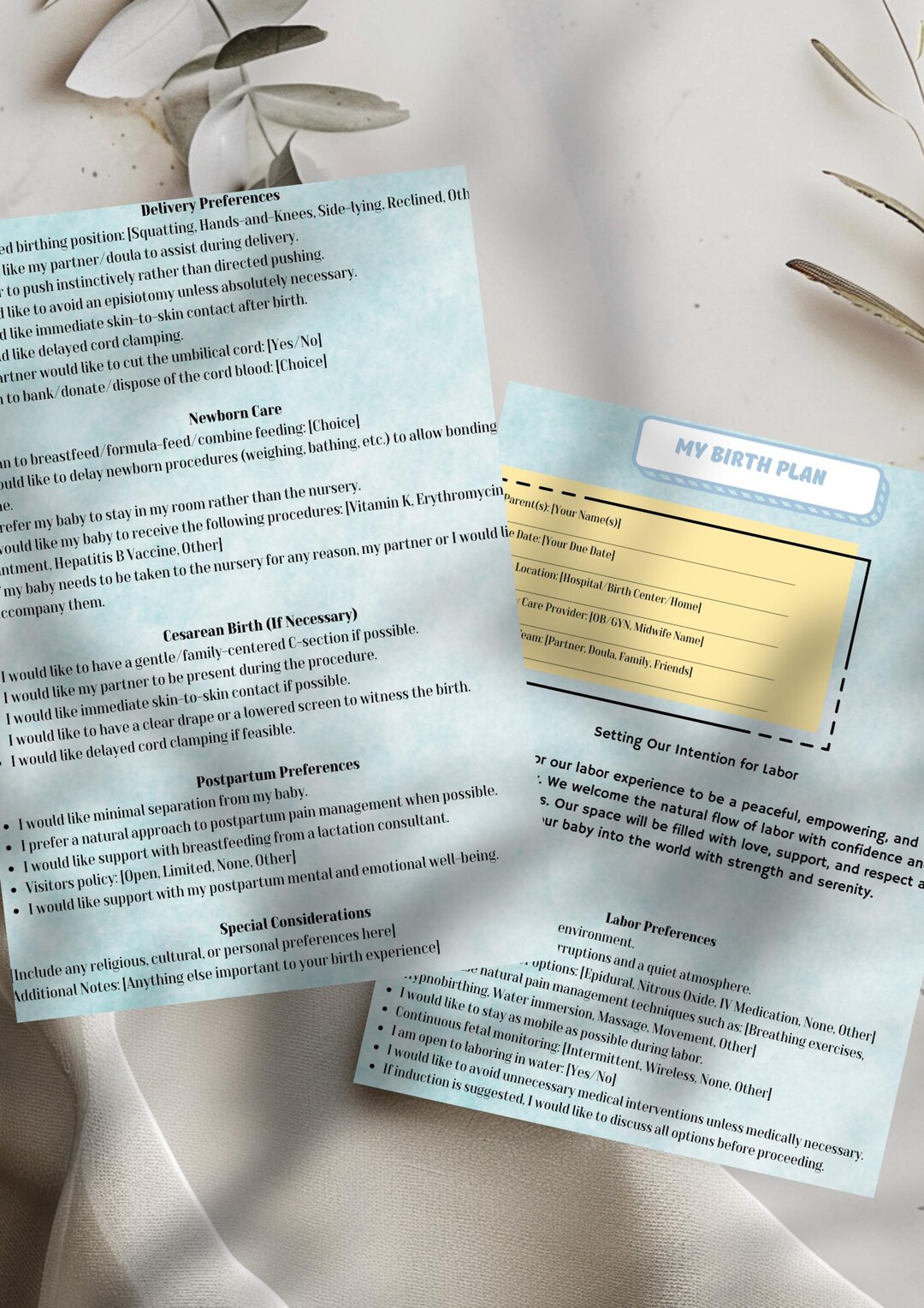 Printable Birth Plan Template | Digital Labor and Delivery Plan for ...
