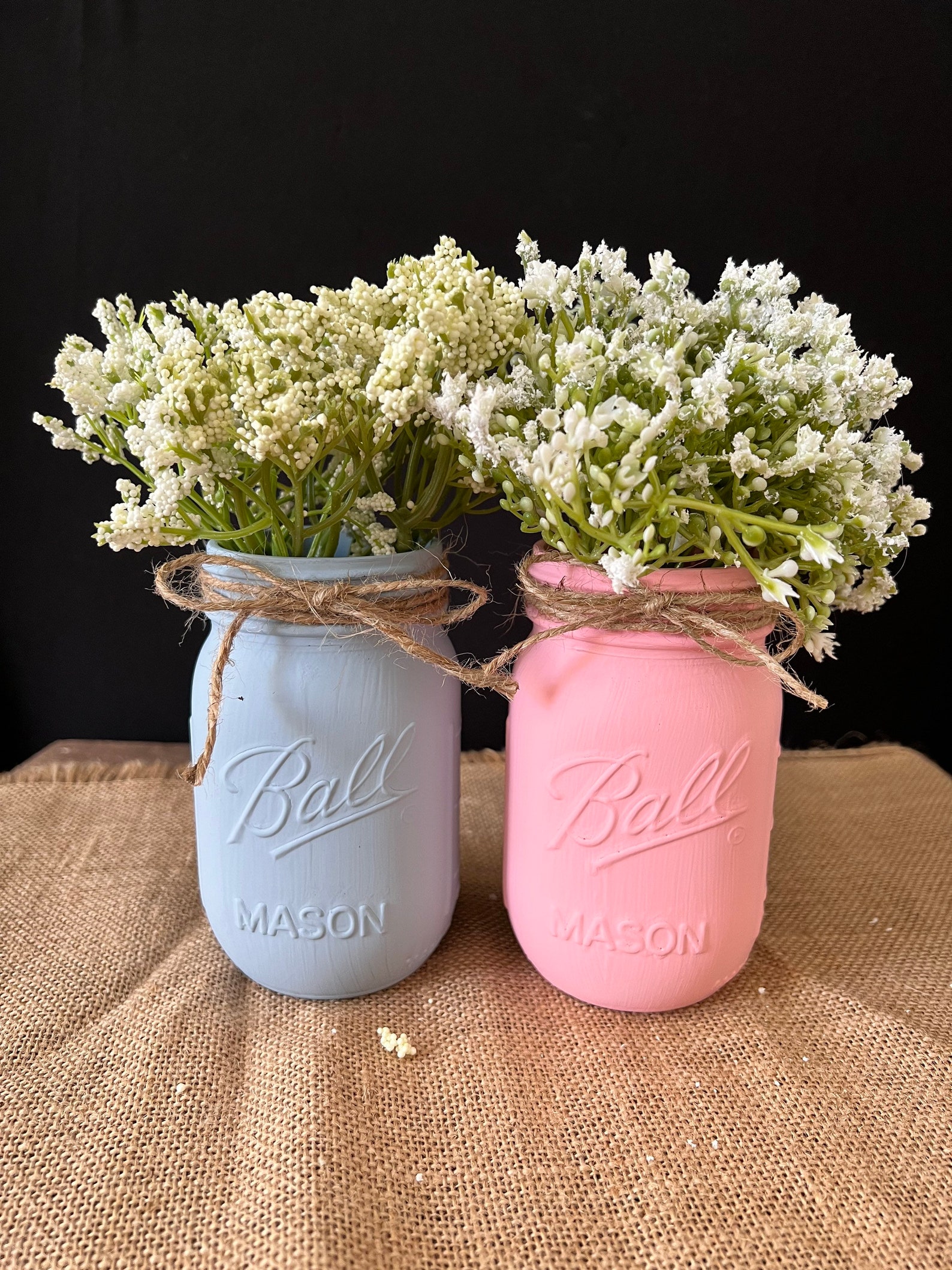 Gender Reveal Mason Jar Set/mason - Etsy