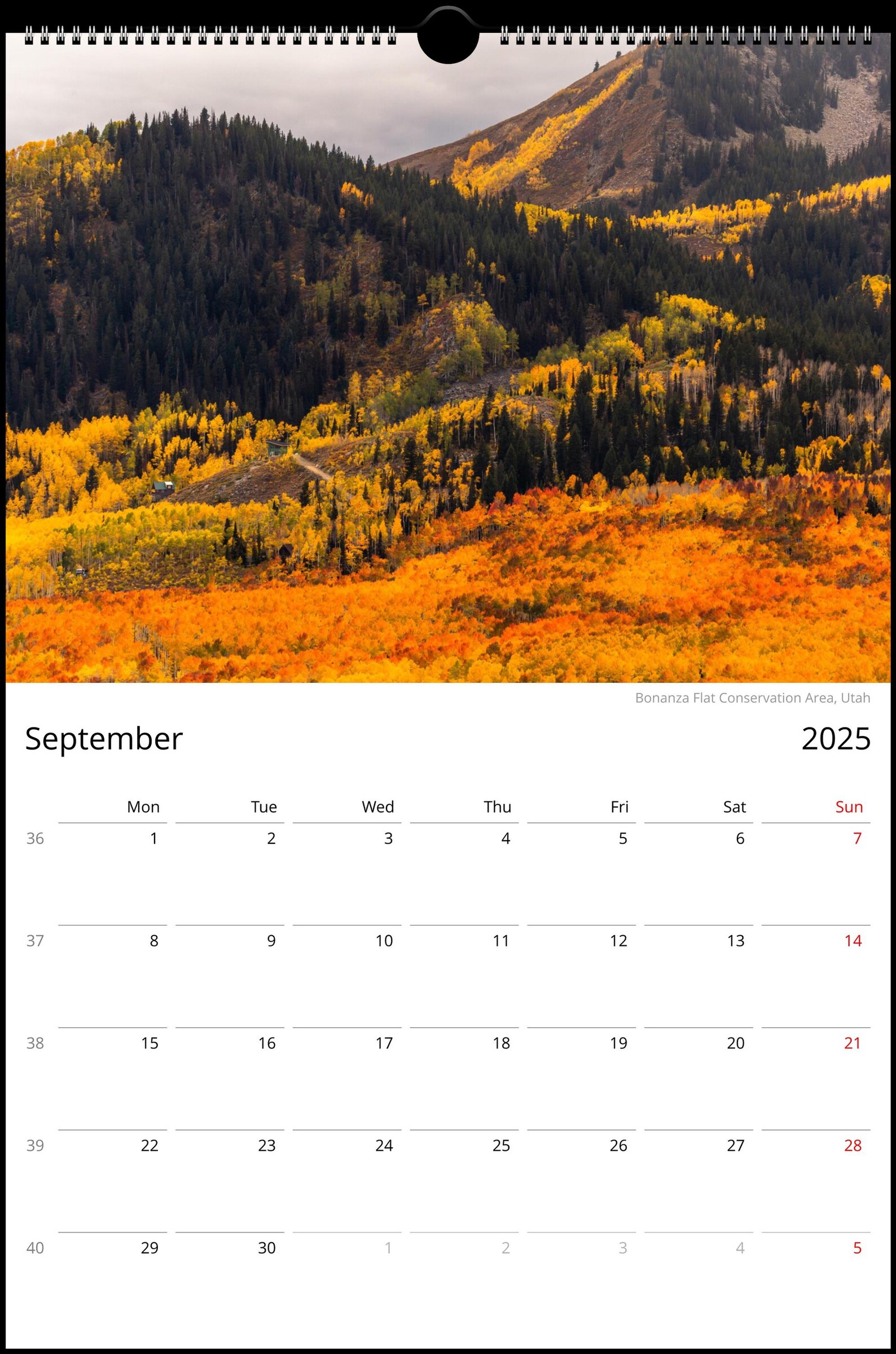 2025 Mountain Calendar - Guardians of the Wilderness - Etsy