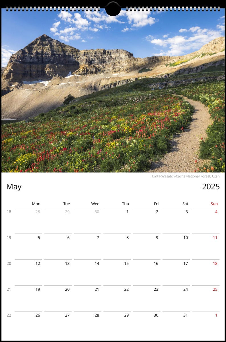 2025 Mountain Calendar - Guardians of the Wilderness - Etsy