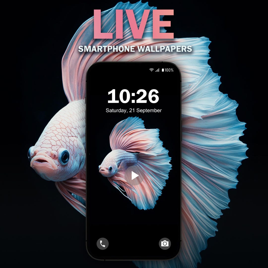 Betta Fish Ocean Aesthetic Phone Live Wallpaper V4| MP4 JPG for Android| Animal Theme | Instant ...