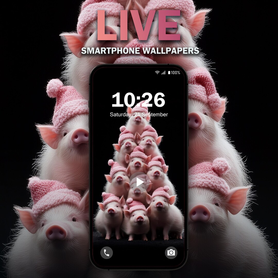Christmas Piggy Tree Live Wallpaper V2 | MP4 JPG for Android| Christmas ...