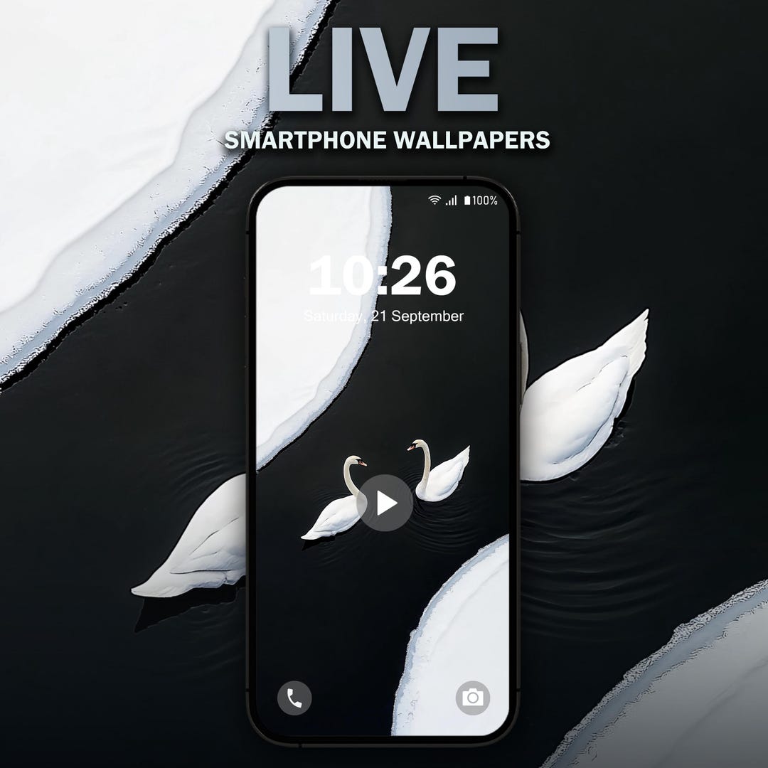 Black White Swans Phone Live Wallpaper V1 | MP4 JPG for Android ...