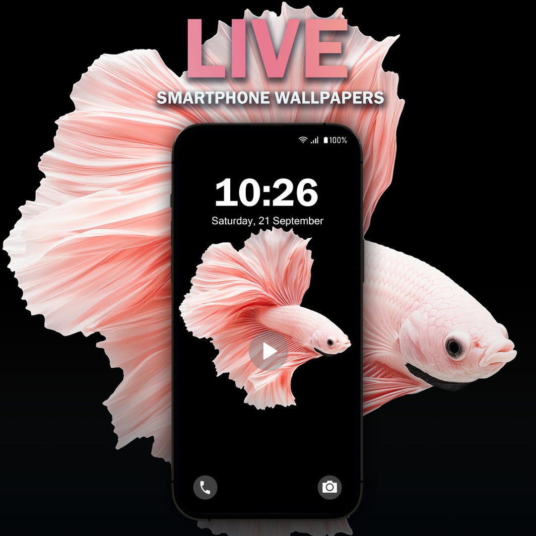 Betta Fish Ocean Aesthetic Phone Live Wallpaper V1| MP4 JPG for Android| Animal Theme | Instant ...