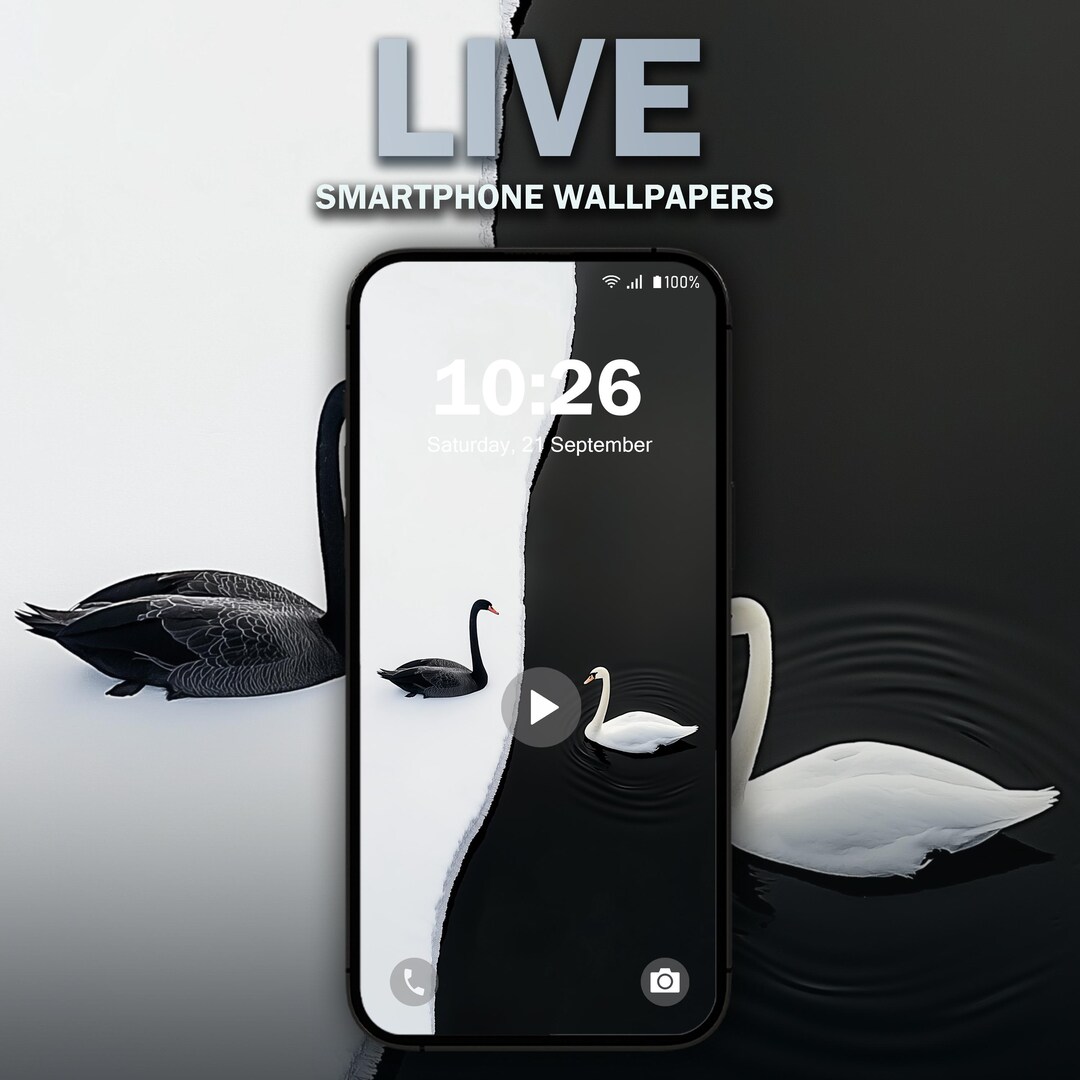 Black White Swans Phone Live Wallpaper V3 | MP4 JPG for Android ...