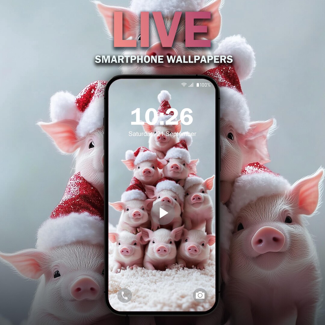 Christmas Piggy Tree Live Wallpaper V3 | MP4 JPG for Android| Christmas ...