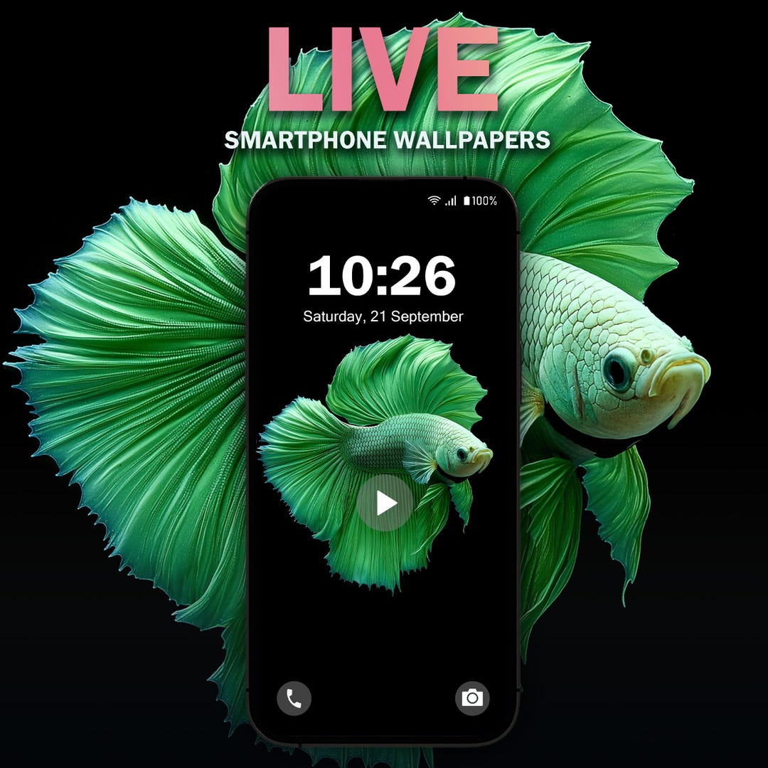 Betta Fish Ocean Aesthetic Phone Live Wallpaper V5| MP4 JPG for Android ...