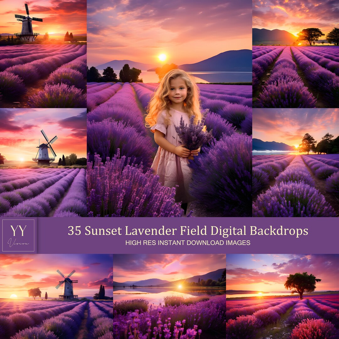 35 Sunset Lavender Field Digital Backdrops Sets for Wedding Maternity ...
