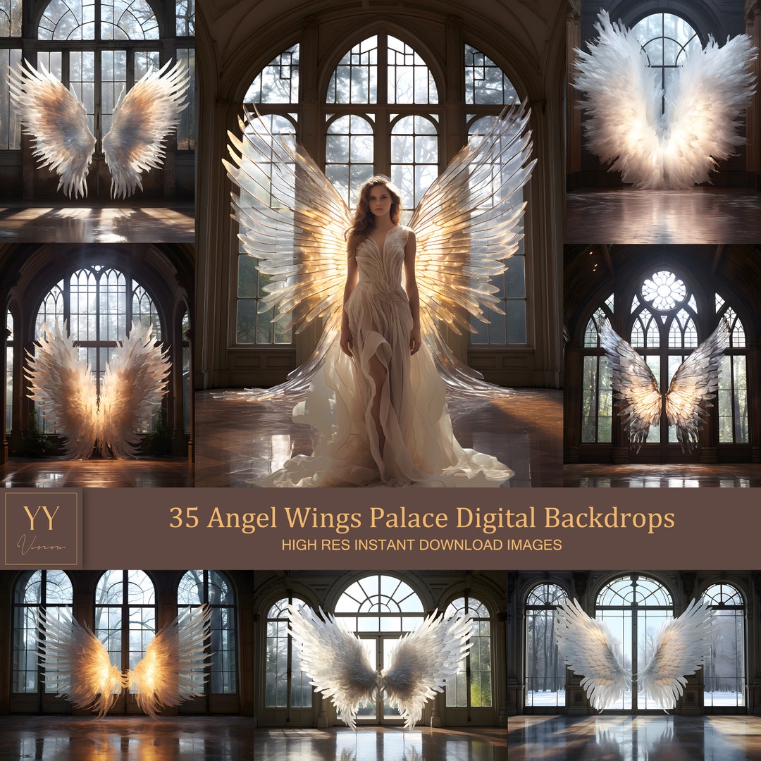 35 Angel Wings Palace Digital Backdrops Sets for Maternity Photography ...
