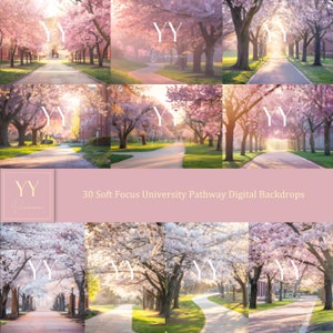 30 Soft Focus University Pathway Digital Backdrops Sets for High School ...
