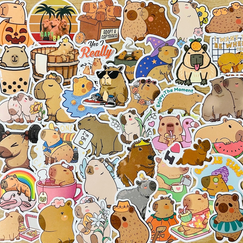 Capybara Boba - Etsy