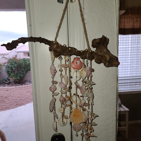 Seashell Hanging - Etsy
